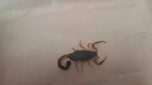 Ireland National Parks – Best Hiking & Wildlife Guide 2025