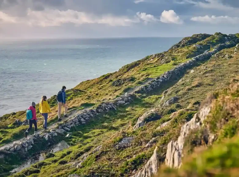 Home – Your Gateway To Ireland's Heartbeat!