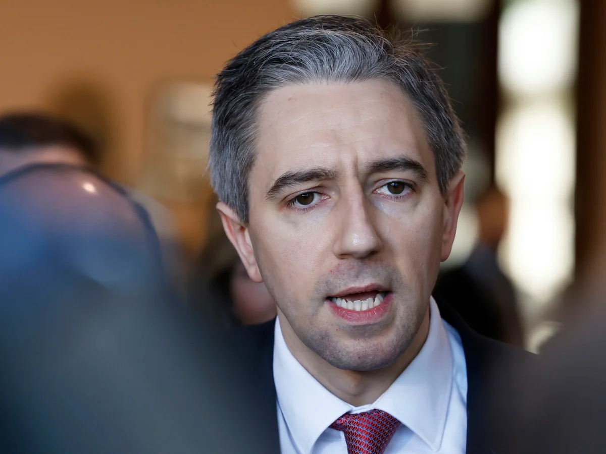 Ireland Is Always Vulnerable To Terrorism Threats, Harris