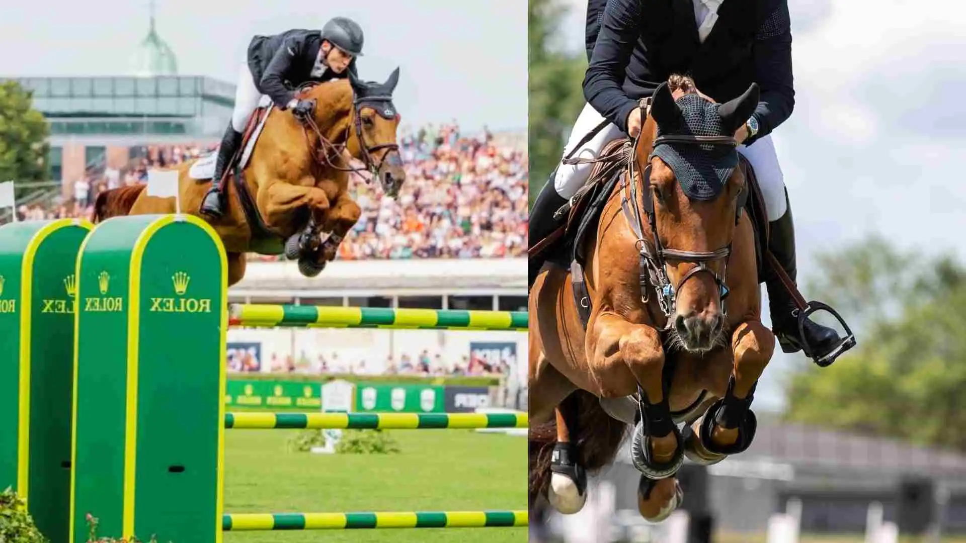 Dublin Horse Show 2025 – Top Events, Tickets & Attractions