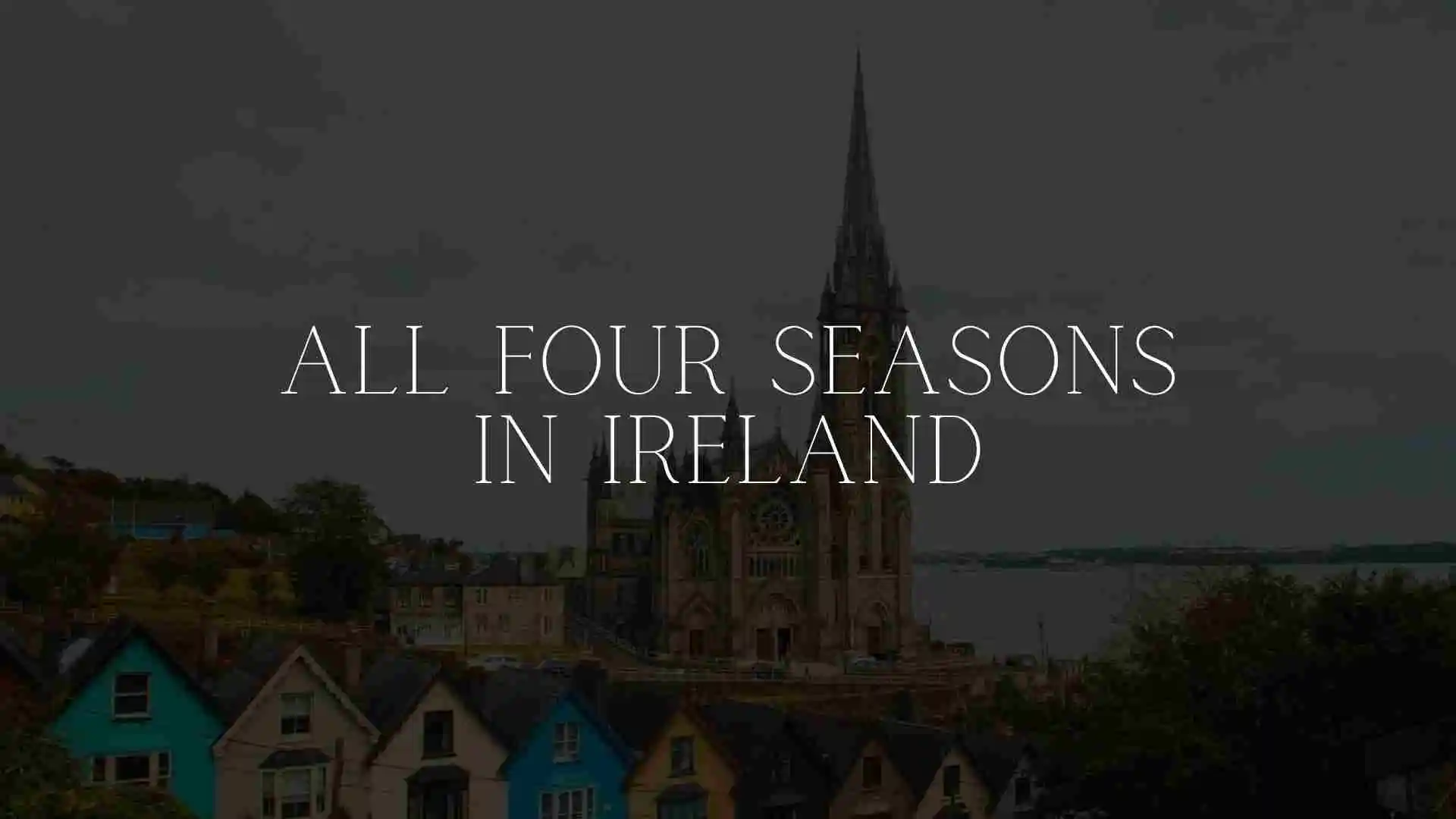 Discover The Best Experiences Of All Seasons In Ireland